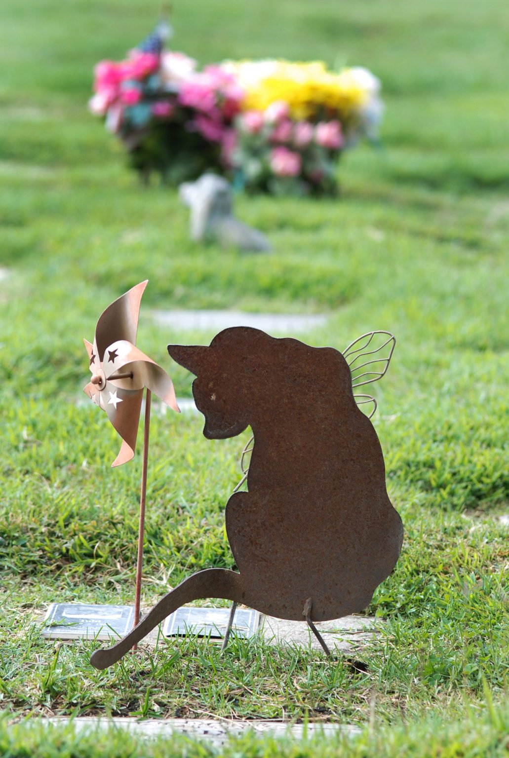 Dealing with Pet Loss Grief and How to Help Others. – AIHCP