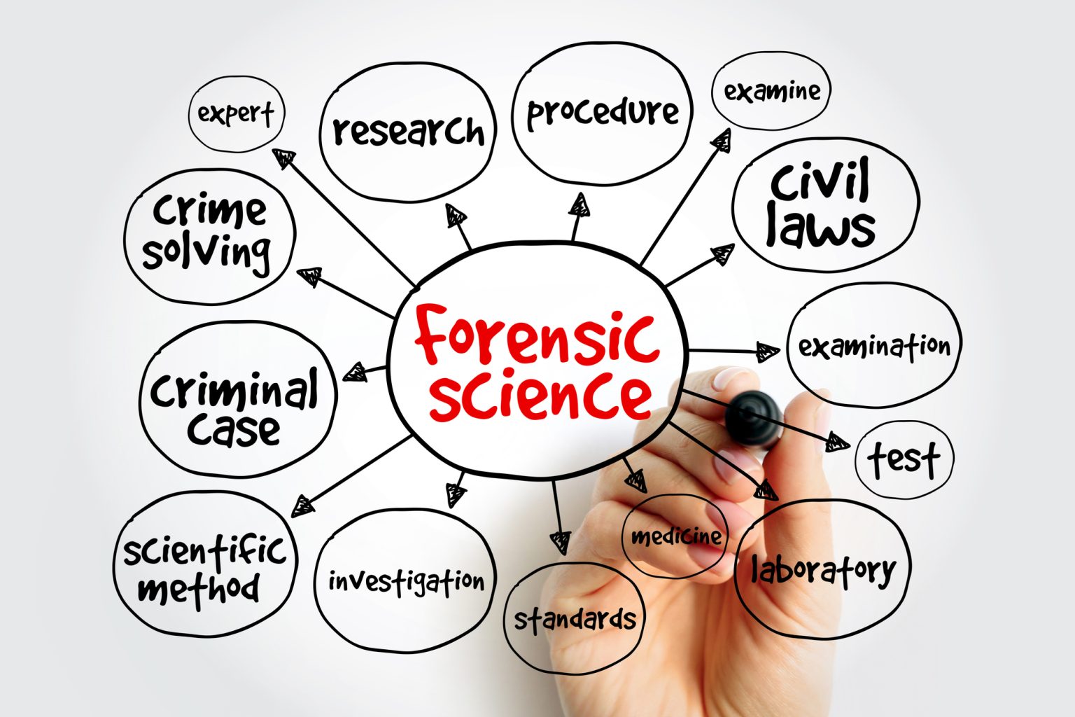 Forensic Nurse Specialist: Essential Qualifications and Training – AIHCP