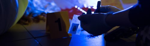 Exploring the Role of Forensic Nursing in Healthcare – AIHCP
